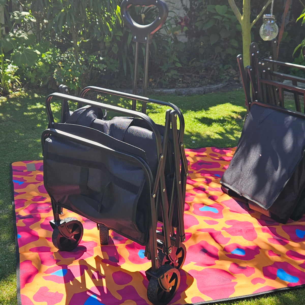 Cart Everyday – Wired 2 Ride